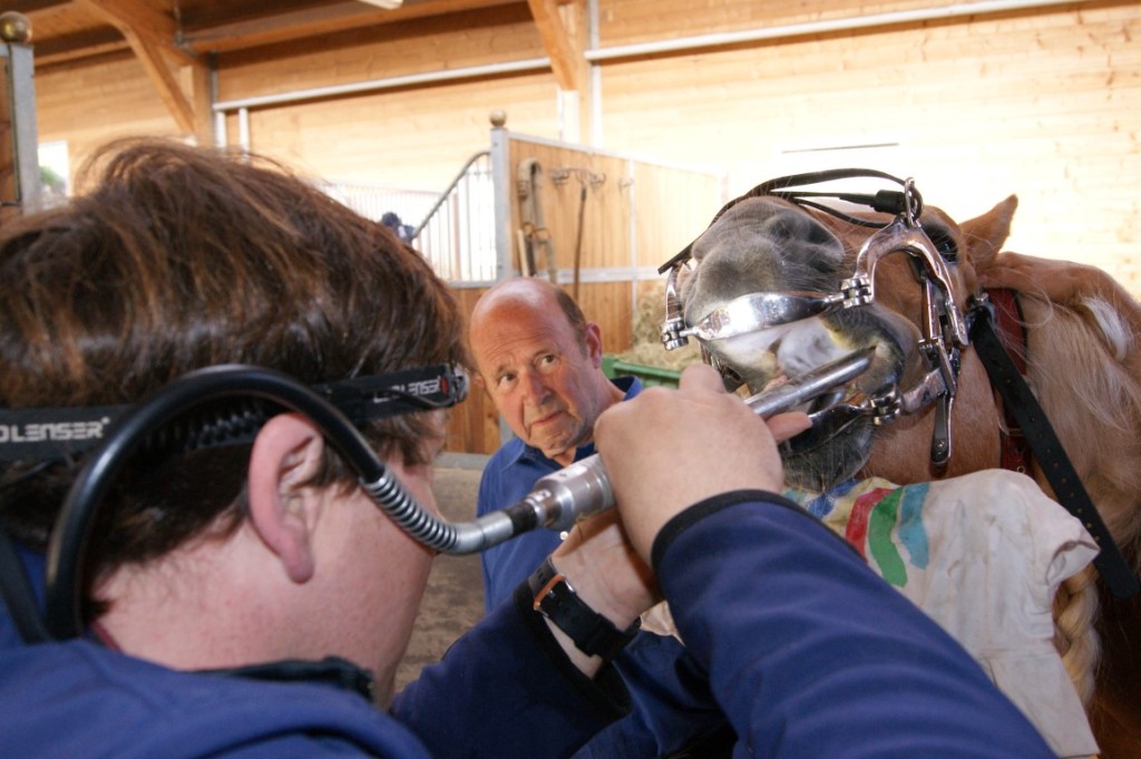 Dr.med.vet. Christian Dreker – Tierarzt | Archive | Wissenswertes